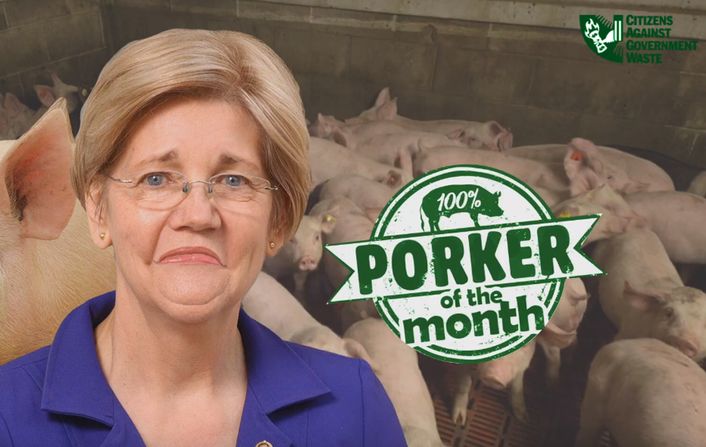 CAGW Names Sen. Elizabeth Warren May 2019 Porker of the Month | Council ...